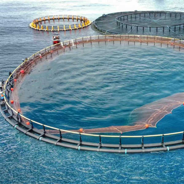 News - Qingdao Waysail Ocean Technology Co., Ltd