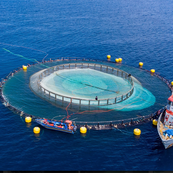 Aquaculture Fish Cage - Qingdao Waysail Ocean Technology Co., Ltd